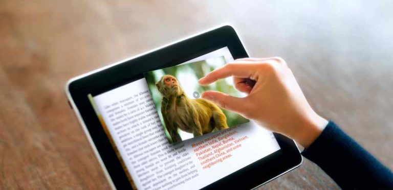 Ipad – Ecolibris